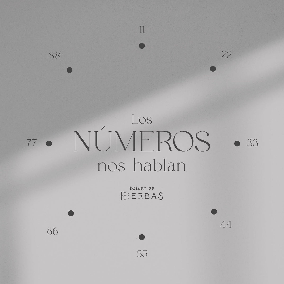 Numerología, ¿qué significan los números repetidos? – Taller de Hierbas