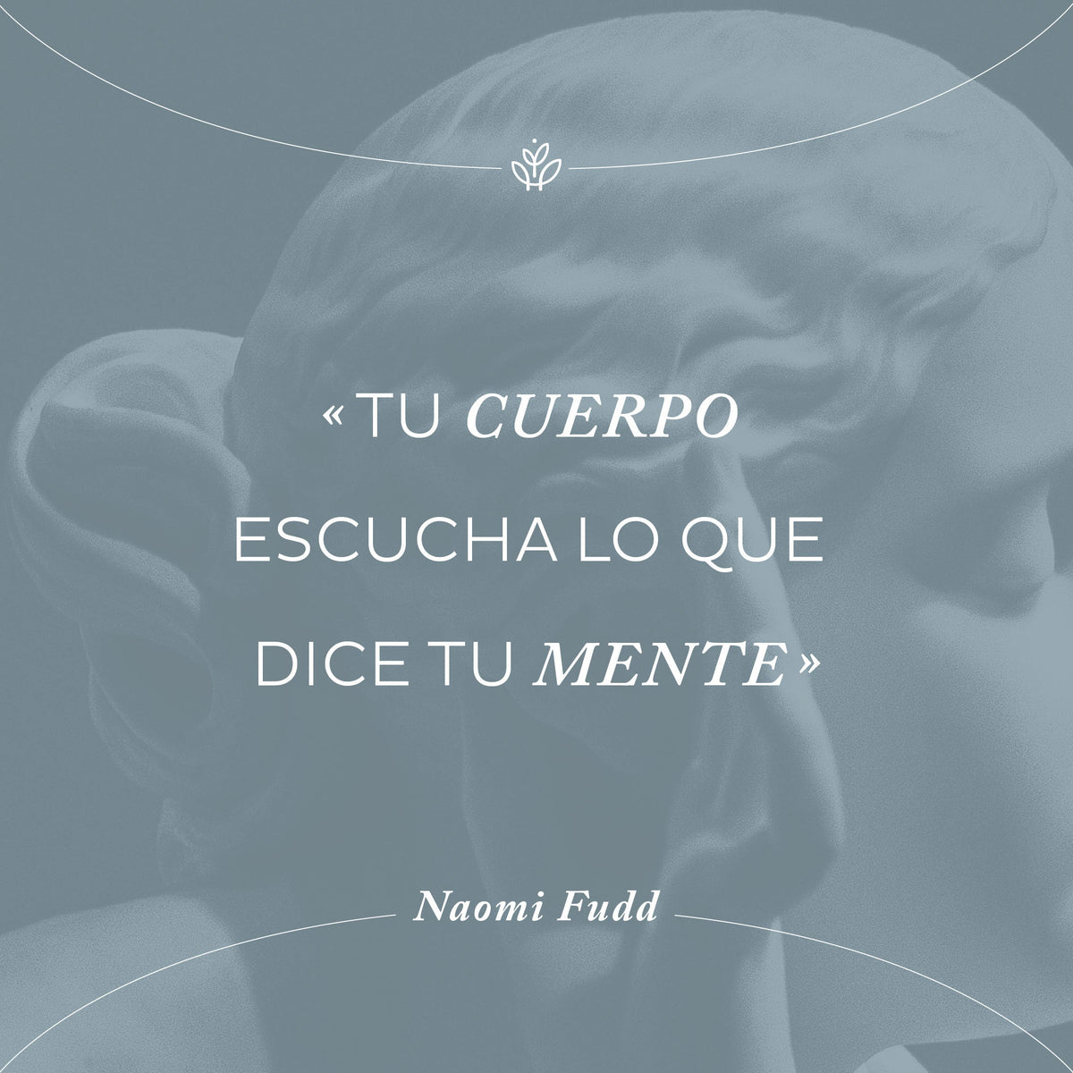 La Conexión Mente-Cuerpo: El Fundamento del Bienestar – Taller de Hierbas